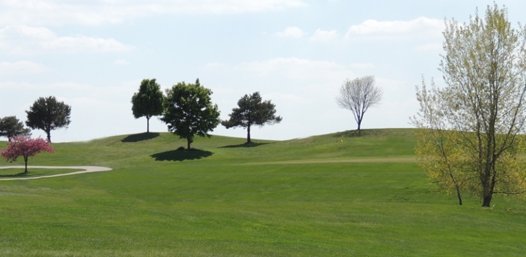 Golf Course - Lake Ridge Golf and Sports Bar